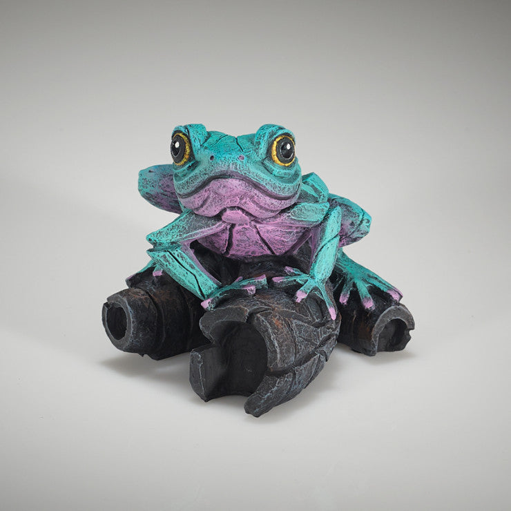 EDGE Sculpture African Tree Frog Aqua Pink - The Acorn Gallery